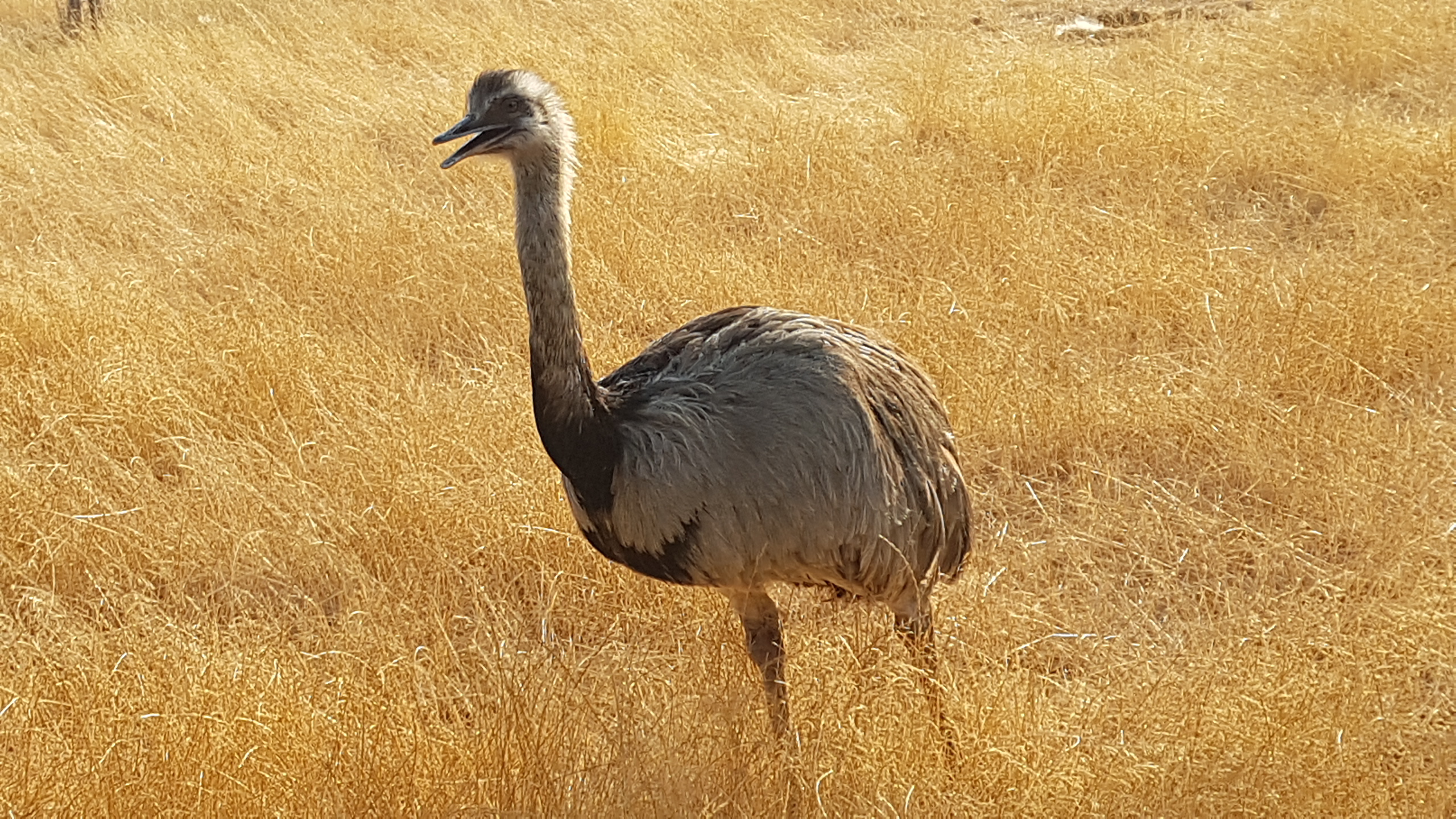 Wonen en klimaat in ruimtelijke verlamming | NederlandLandBovenWater